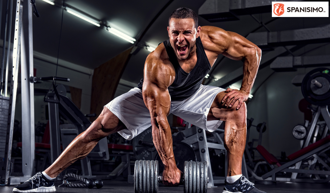 スペイン語 筋トレ完全ガイド｜単語・活用・ジム会話フレーズ決定版 » SPANISIMO BLOG